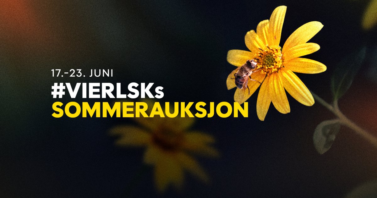 Årets sommerauksjon er i gang / Lillestrøm